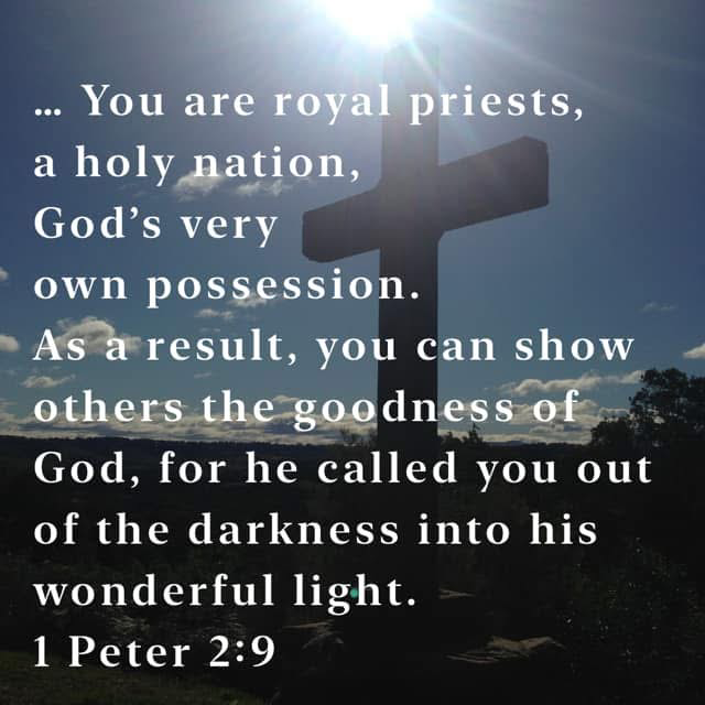 Tuesday 31 December, 2024 … – Daily Bible Verse with Pastor Was
